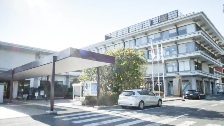 Dixon Technologies share price slips over 3% after Morgan Stanley cuts ...