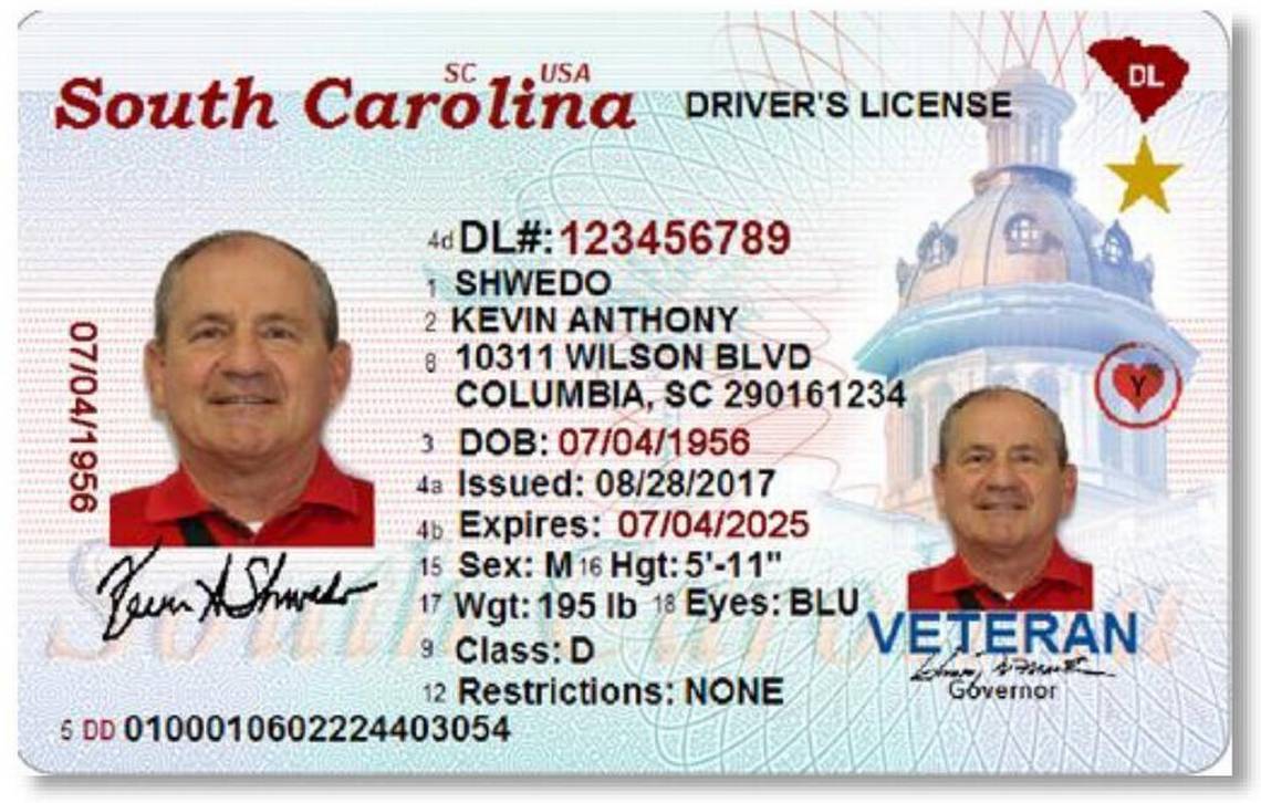 All new SC driver's licenses & ID Cards coming soon, DMV says. Here's ...