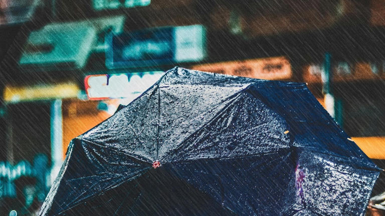 Craving rainy day snacks? 7 monsoon foods you must try at home