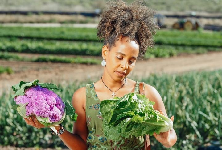 10 Vegetables That Thrive Without Direct Sunlight