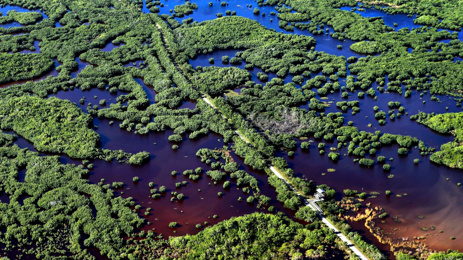 Florida: »Alligator Alcatraz« soll Migranten in Sumpflandschaft internieren