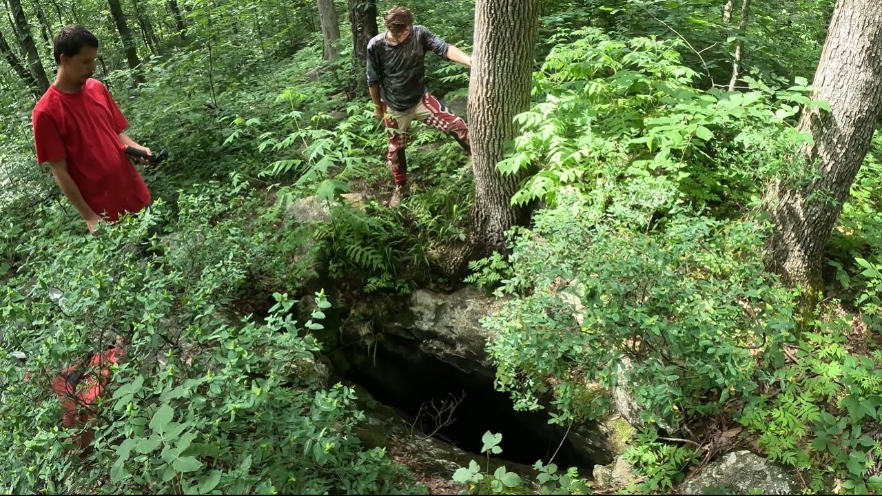 Stadium-Sized Cave Beneath the Forest