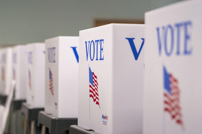 Scott County Auditor: Candidate Guide available online