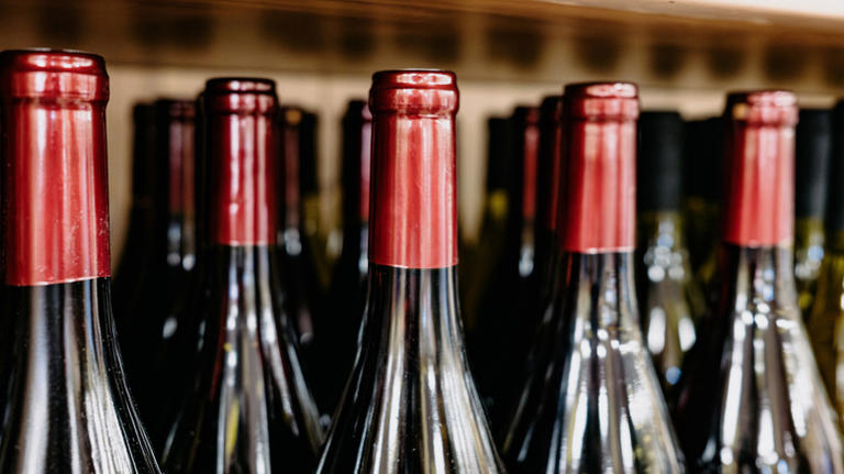 Repurpose These Common Kitchen Items Into Charming DIY Bird Feeders