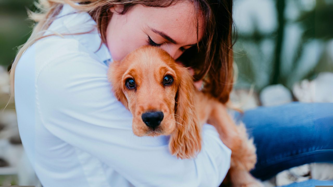 The 10 Signs Your Dog Could Be Dying Too Soon