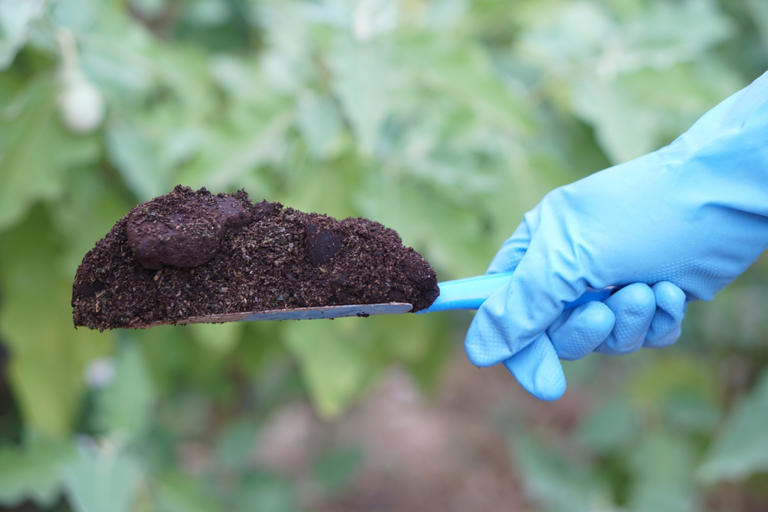 How to Create a Compost Bin and Use Compost in Your Garden