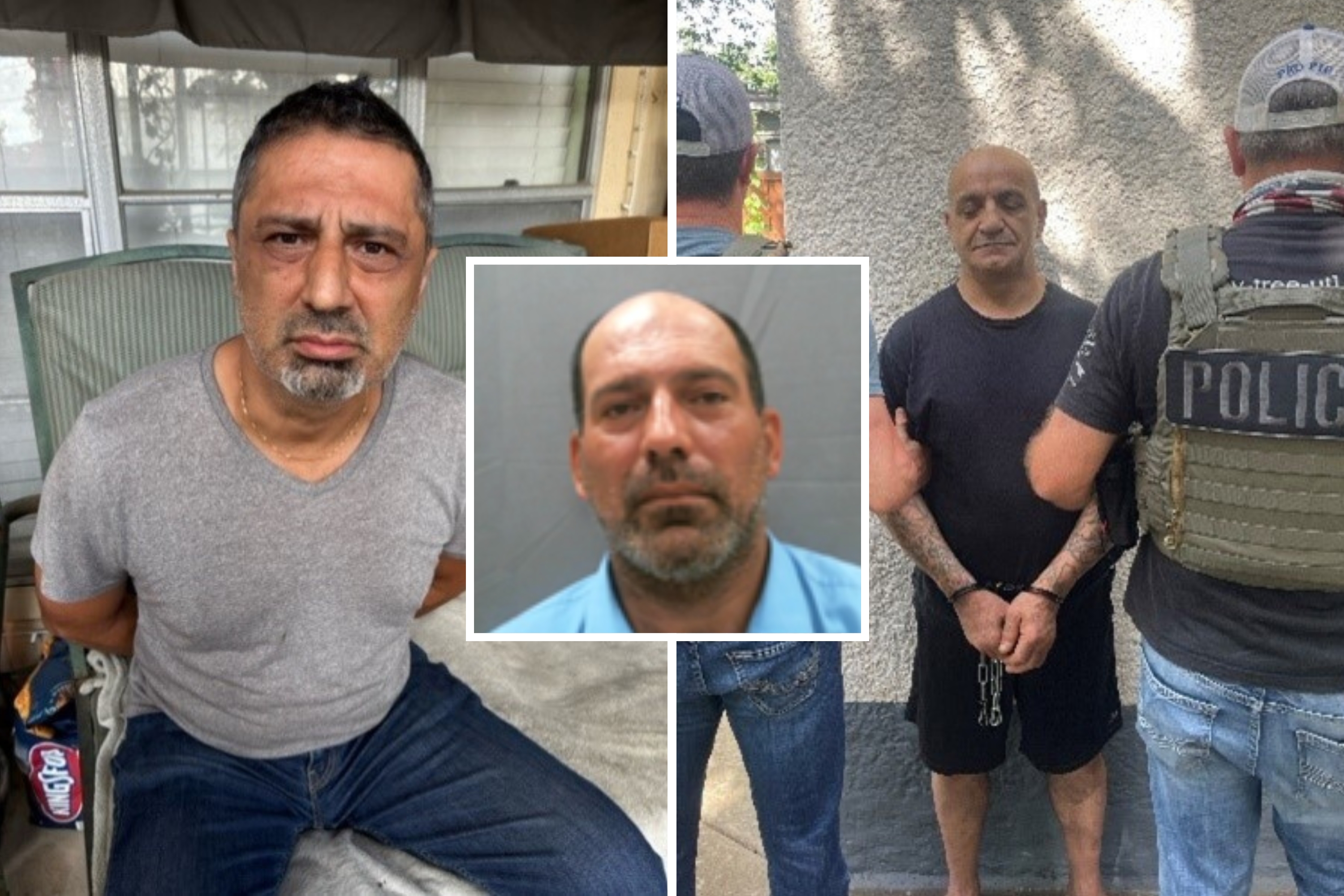 ICE arrests 11 Iranian nationals in US amid fears of secret terror cells