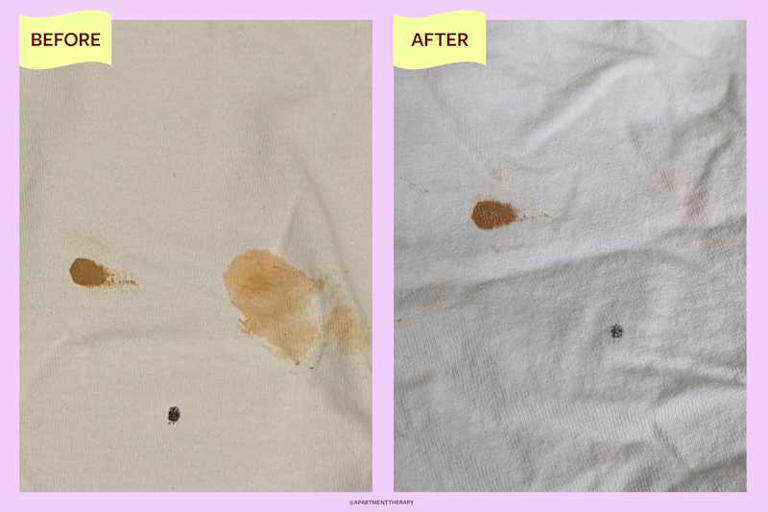 I Tried 8 Different Stain Removers, and the Winner Was Unexpected