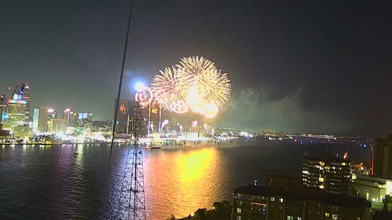 Sped-up: The 2025 Detroit fireworks in 1-minute from a Windsor bird's ...