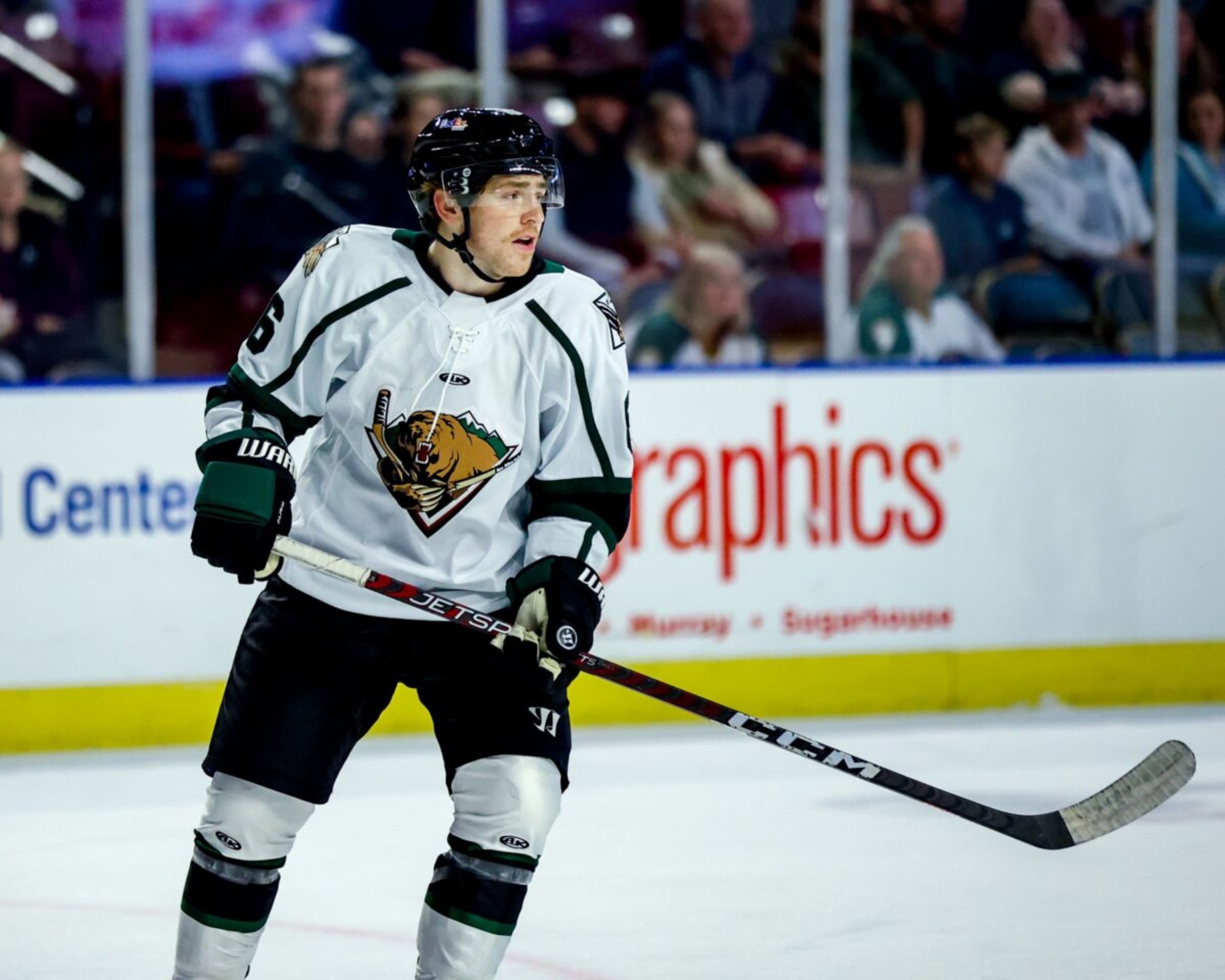 Utah Grizzles Most Likely Relocating With Potential Sale