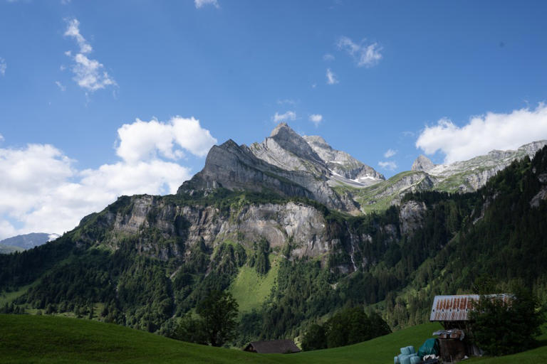 ‘Fearless’ wingsuit champion Liam Byrne, 24, dies during 8,000-foot jump