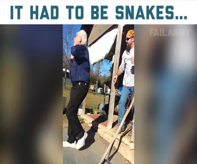 It Had to Be Snakes