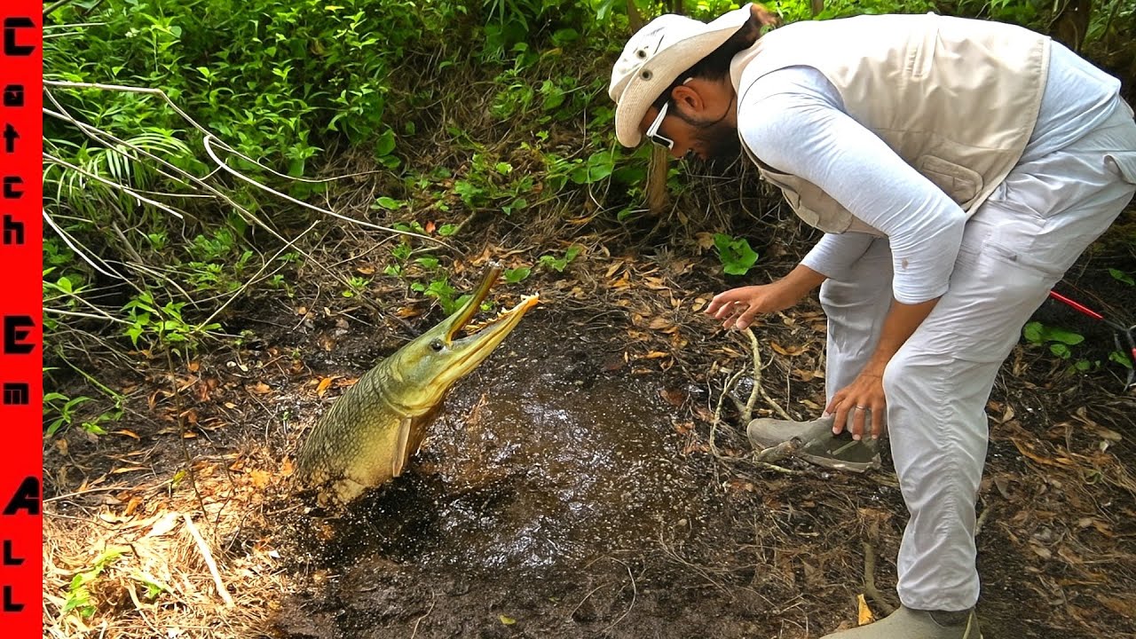 We Found FISH STUCK in BLACK TAR Water UNDERGROUND!