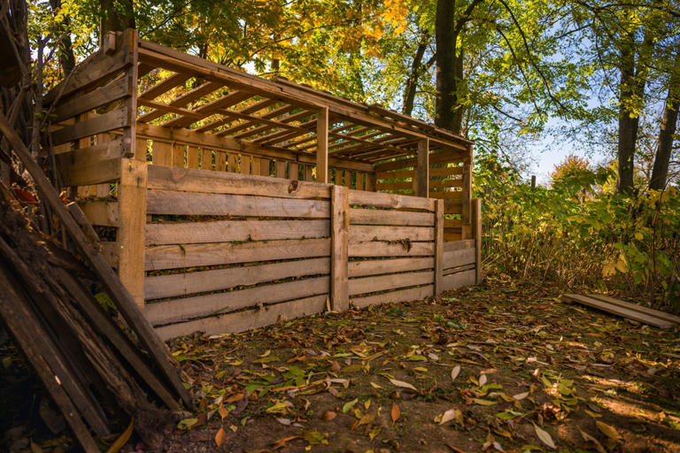 How to Create a Compost Bin and Use Compost in Your Garden