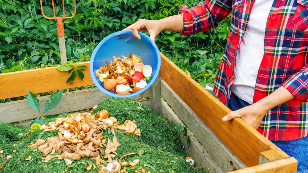 How to Create a Compost Bin and Use Compost in Your Garden