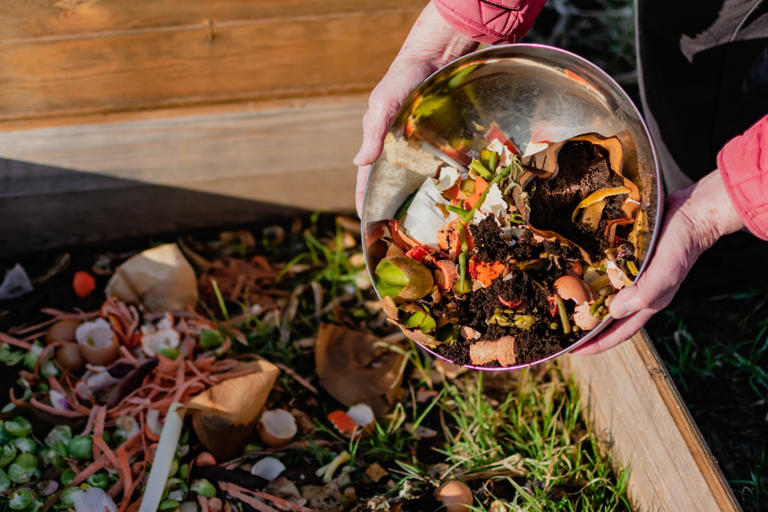 How to Create a Compost Bin and Use Compost in Your Garden