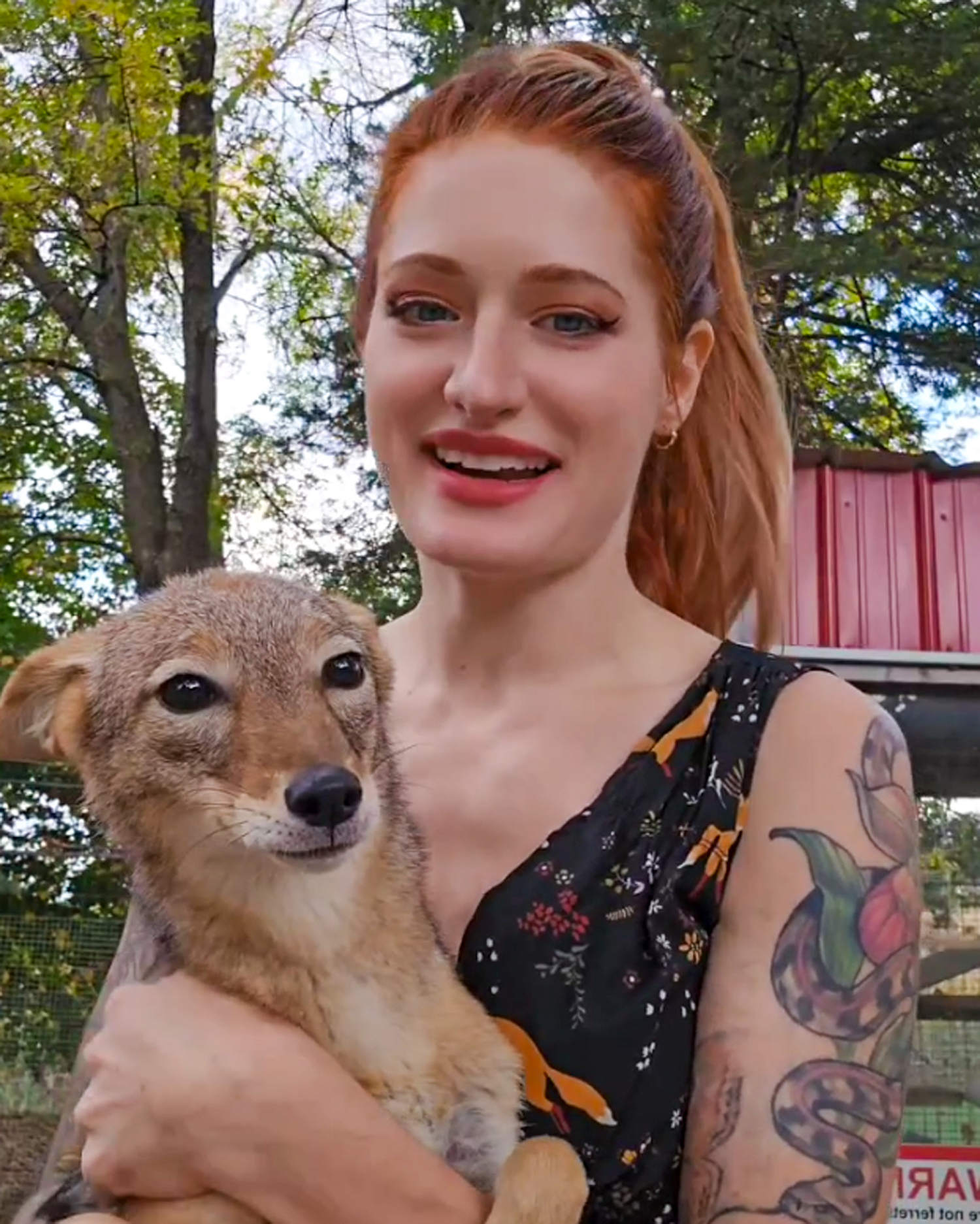 YouTube star Mikayla Raines dies by suicide at 29, husband blames ...