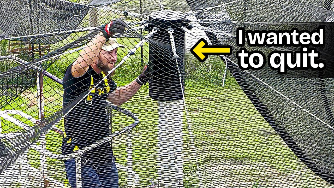 We Installed the 1000 lb Net over the Aviary! | Building an Aviary Part 16