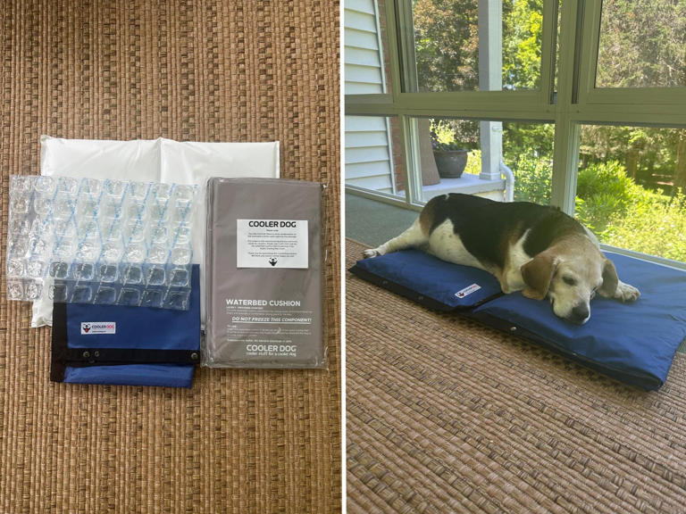 The best dog cooling mats and pads, tested and reviewed