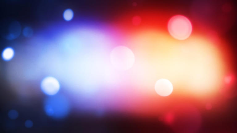 Wrong-way driver dead after series of crashes in Redford Township