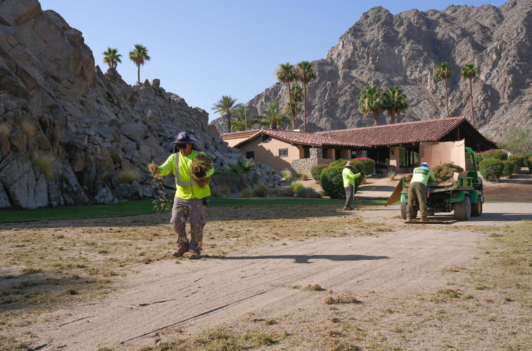 Palm Springs area golf course making switch to new Bermuda grass for ...