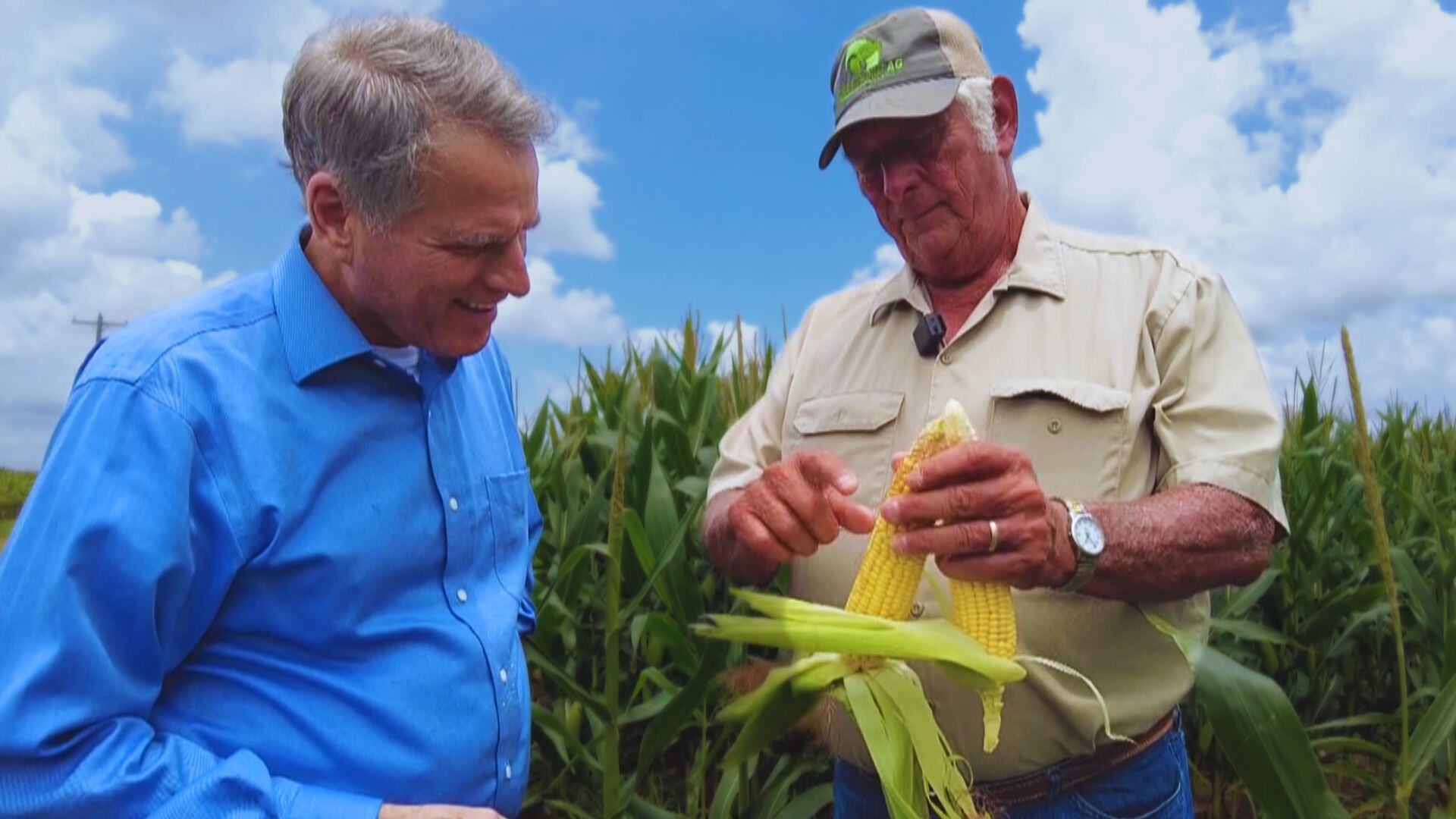Back Home in Louisiana - The Vital Role of Corn