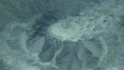 Video Captures Underwater Volcano Spewing Mud And Methane In The ...