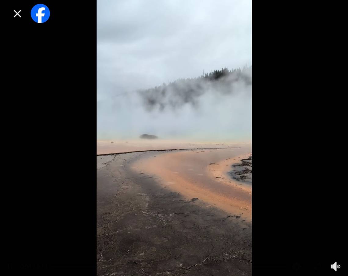 Visitors see bison fall into Yellowstone hot spring and die. ‘Haunting'