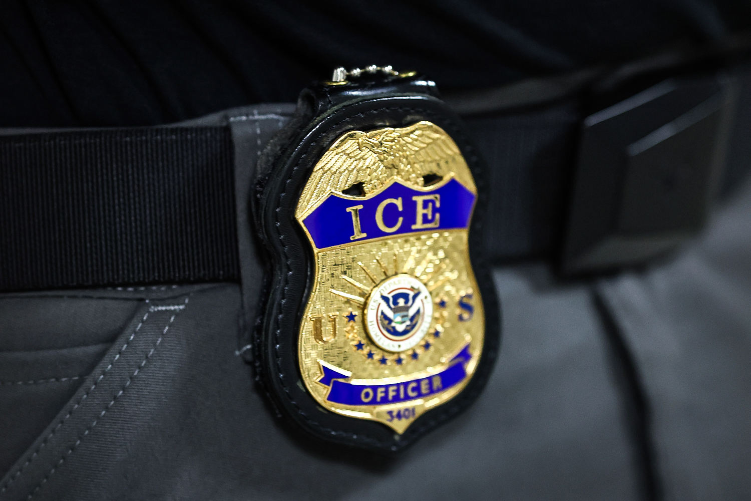 ICE arrested 11 Iranian nationals with criminal records or suspected ...
