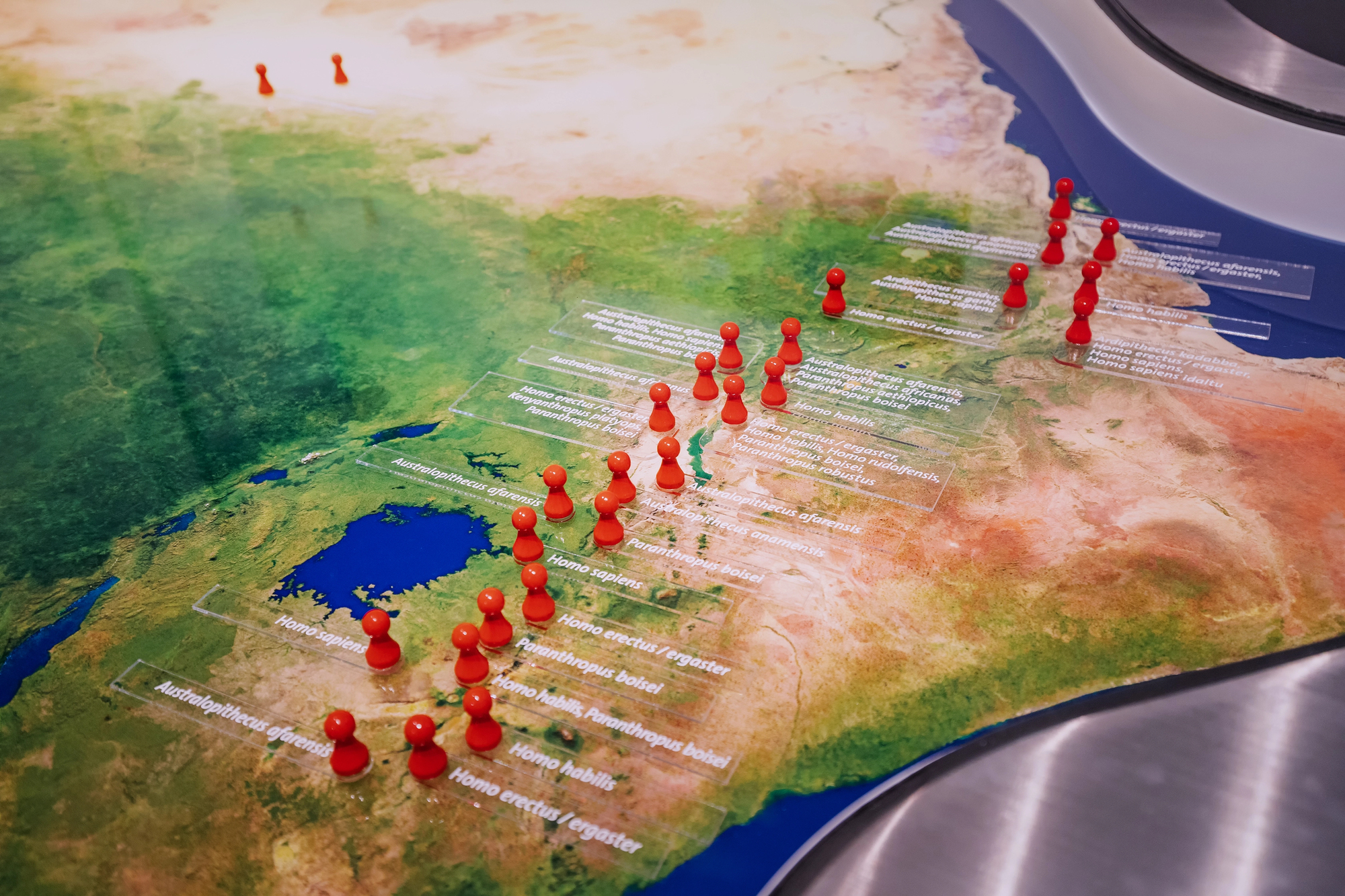 15 Historical Migrations That Reshaped Entire Continents