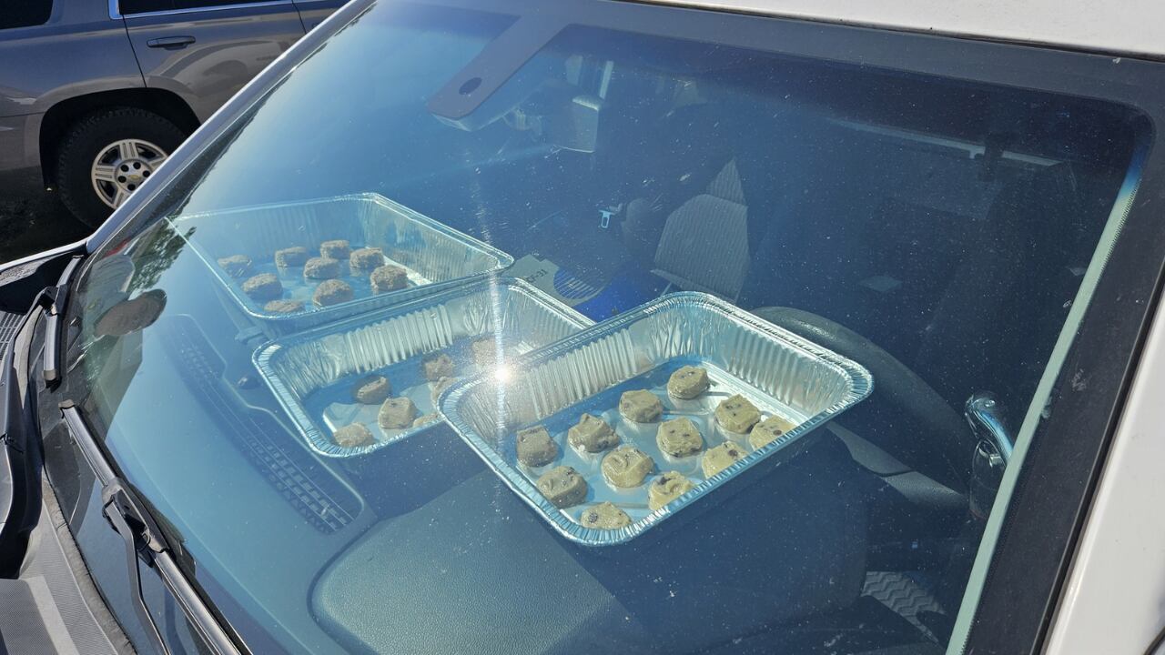 LOOK: SC deputies bake cookies inside car during heat wave