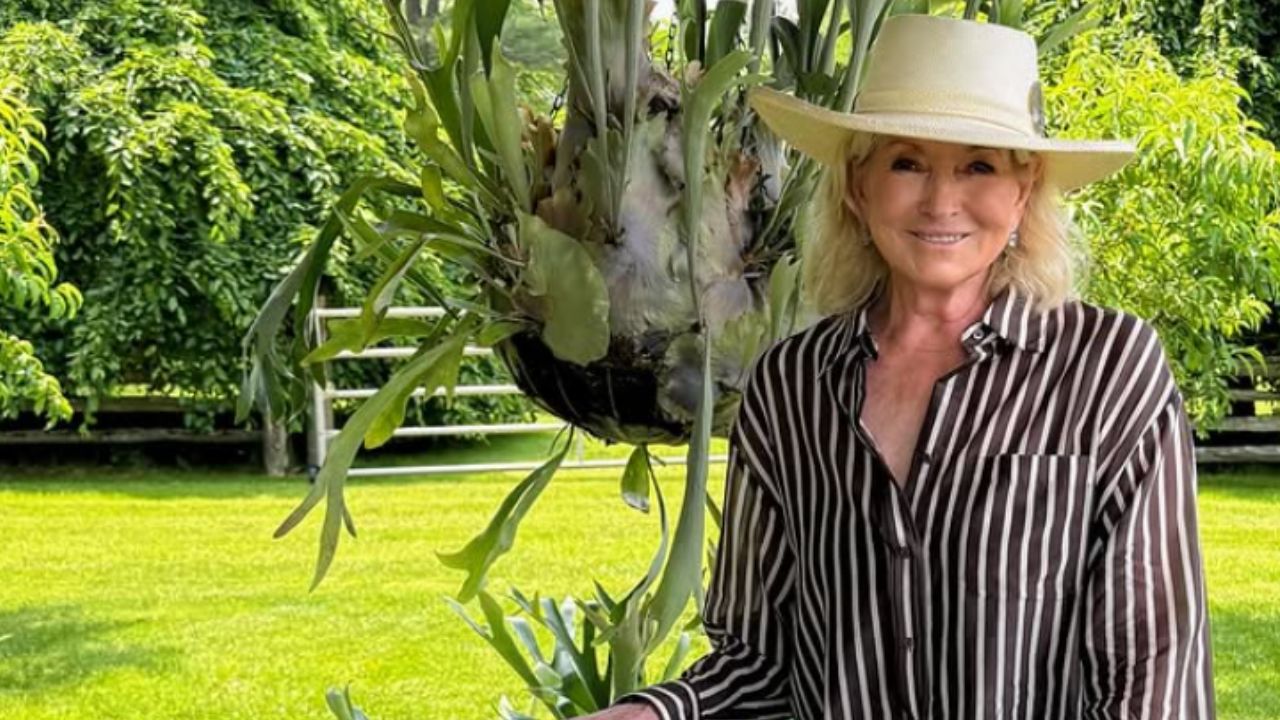 Martha Stewart onthult haar onfeilbare truc om tomaten te kweken ...