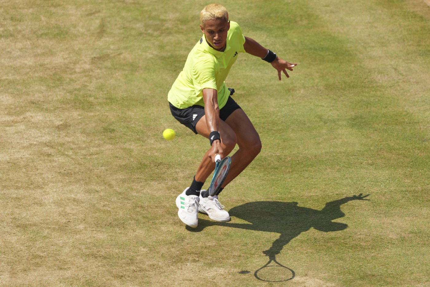 Gabriel Diallo et Félix Auger-Aliassime passent en quarts au tournoi de ...