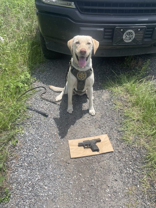 FWC and K9s recover discarded firearm in Jackson County