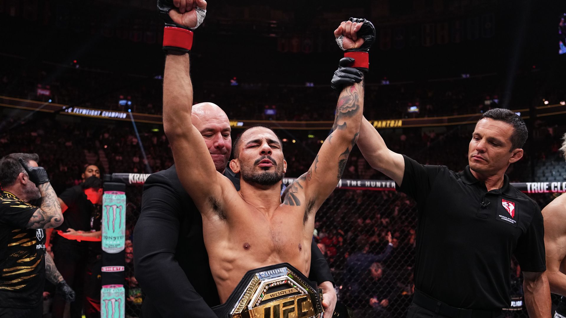 ‘Power, wisdom, and good fortune’: Custom shorts revealed for Alexandre ...