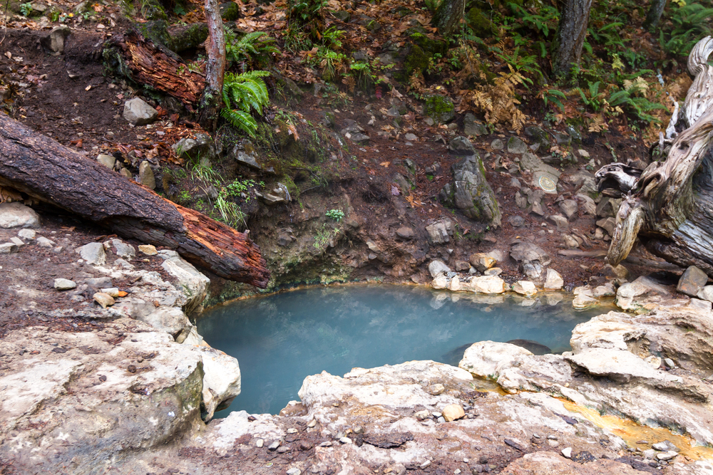 15 Hidden Hot Springs in National Forests