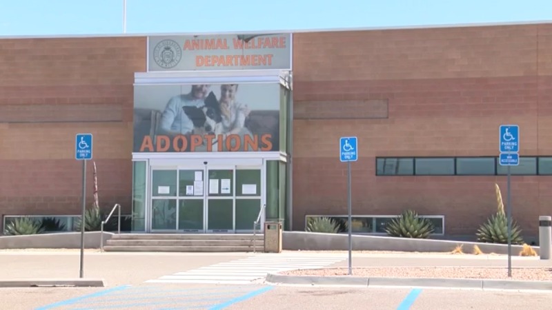 Albuquerque Animal Welfare says HEART ordinance updates will help ...