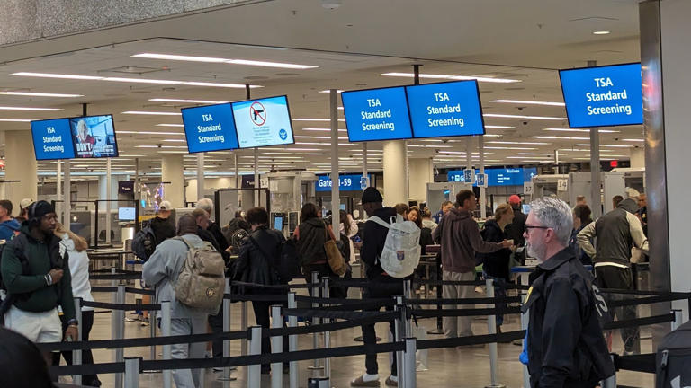 TSA's Fourth of July Air Travel Projections