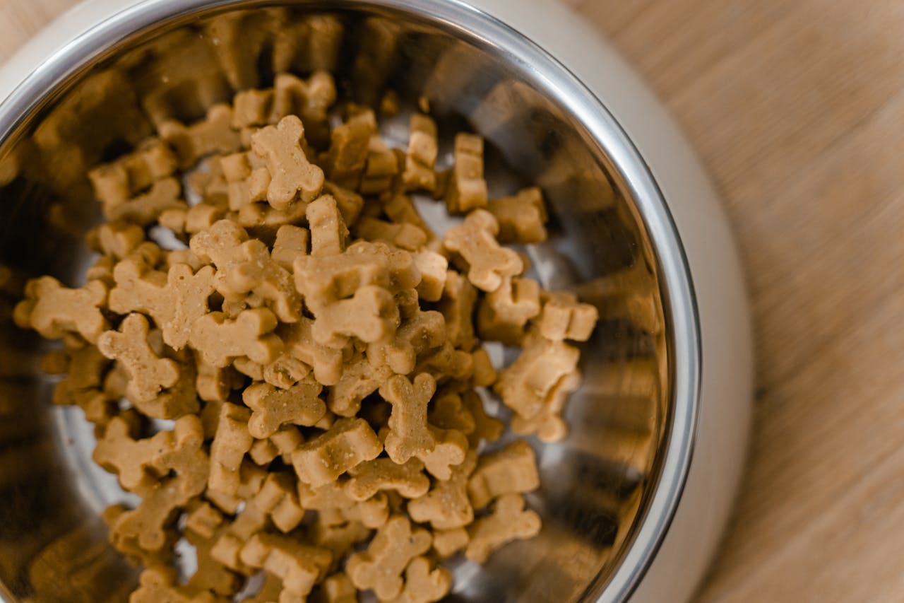 Pet Supplies on a Budget: 8 Safe Dollar Store Buys (and 3 That Could ...