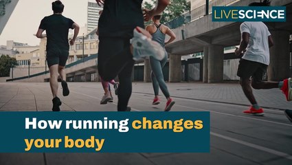 Does Running Physically Affect Your Body?