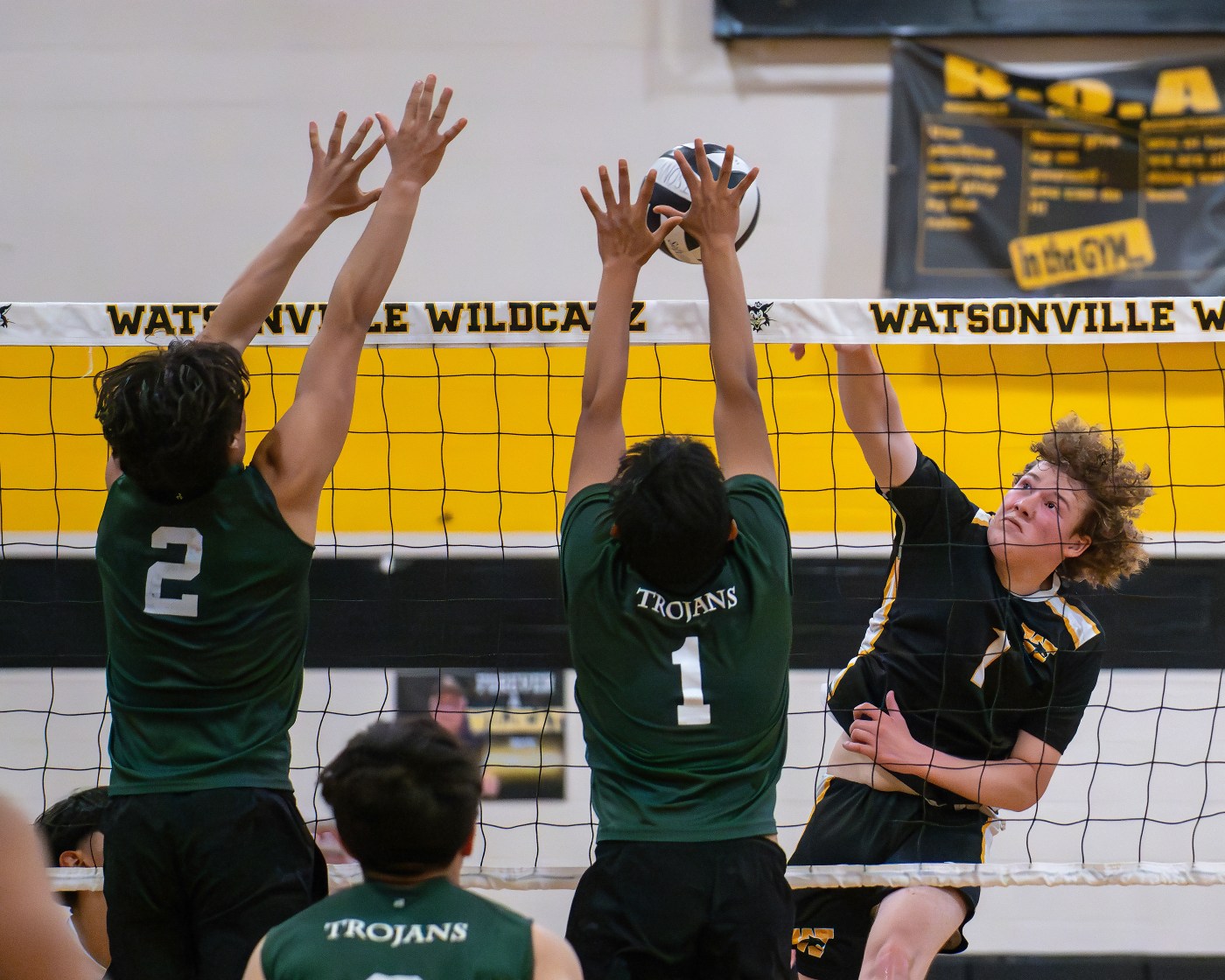 Watsonville’s Joshua Zuniga, Logan Franc, and PV’s Jayden Avestruz earn ...