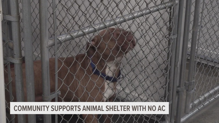 The Lancaster SPCA issued a call for help when its AC broke. Animal ...