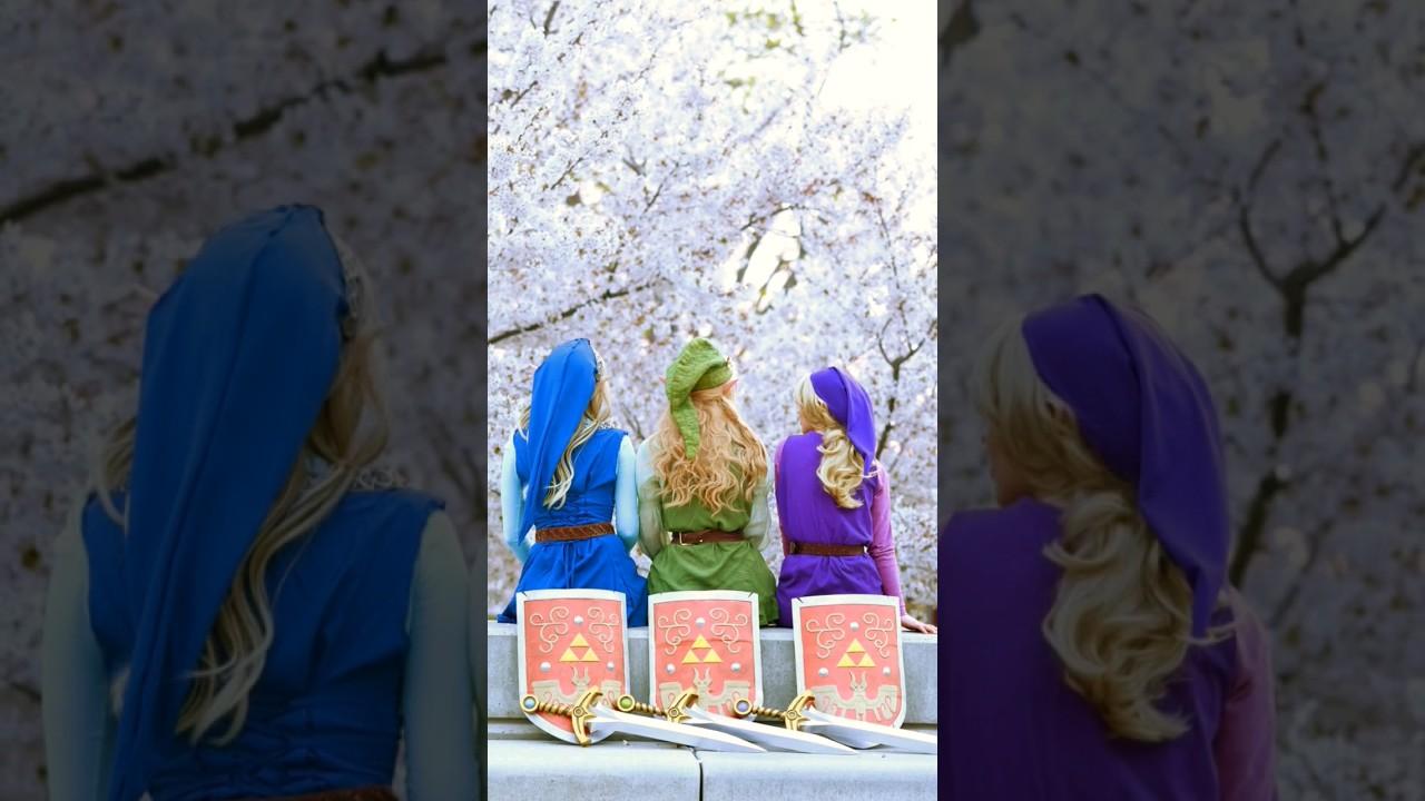 The Game's Over And Link Gets To Relax Until The Next Reincarnation💚 W ...