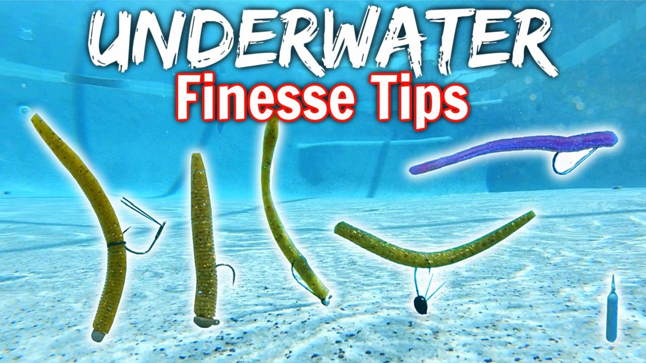 Catch 15x more bass with these top 5 finesse techniques
