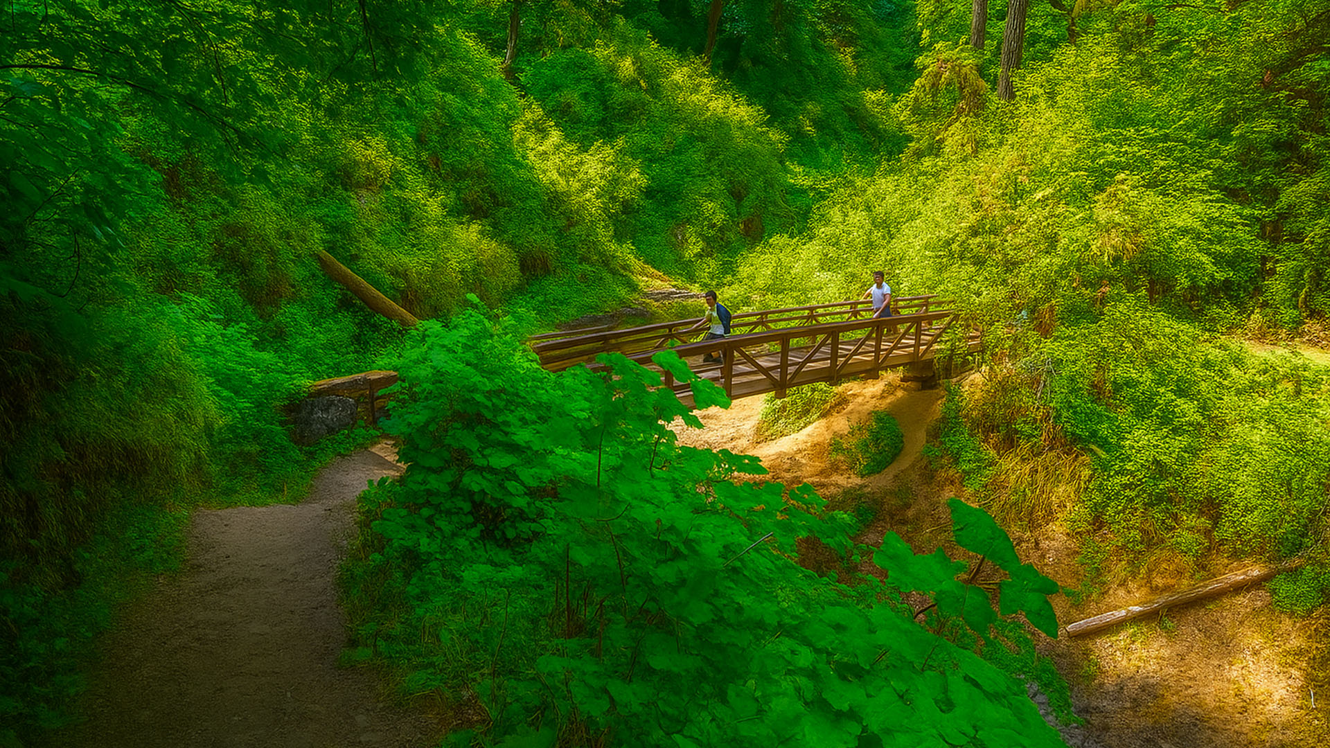 Silver Falls State Park, Oregon (4K) – Ten Waterfalls in One Epic Hike