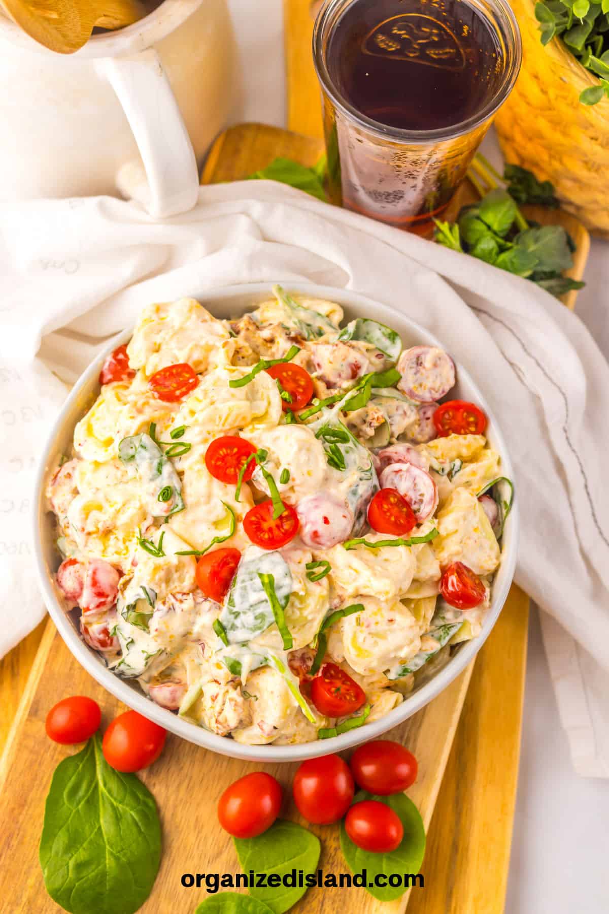 Sundried tomatoes marry me pasta salad