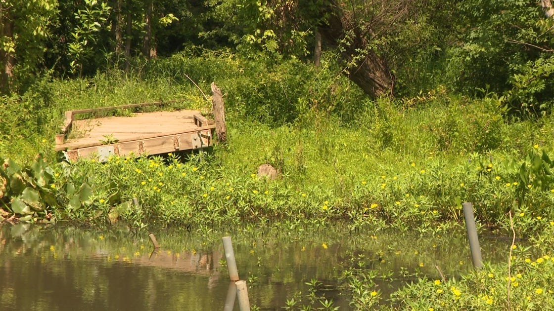 Conestee Nature Preserve’s path to healing after Hurricane Helene’s ...