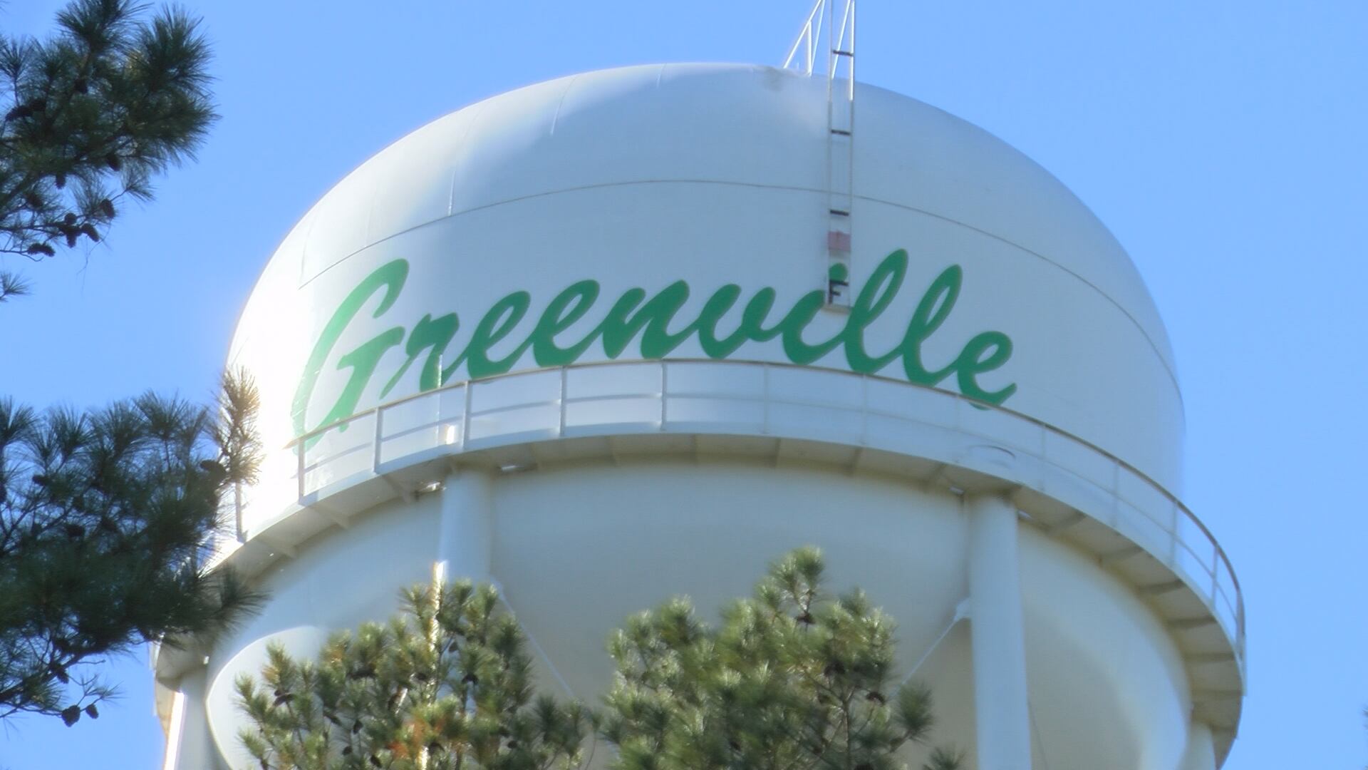 List of qualified 2025 Greenville mayoral, city council candidates released