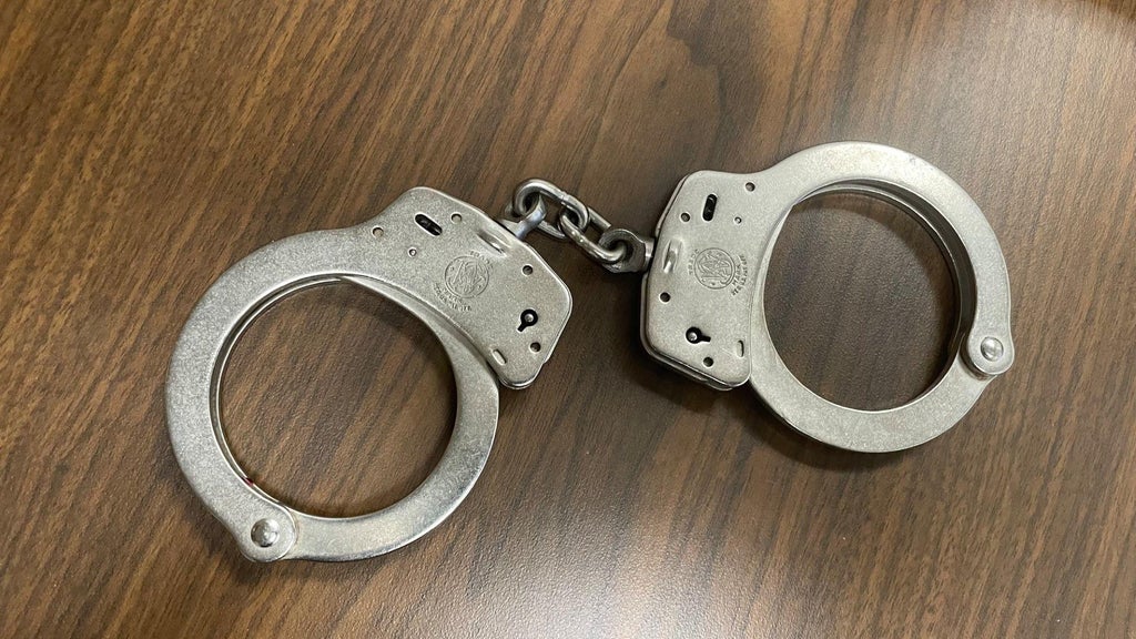 Man in custody after woman found shot in head at Chesterton, Illinois ...