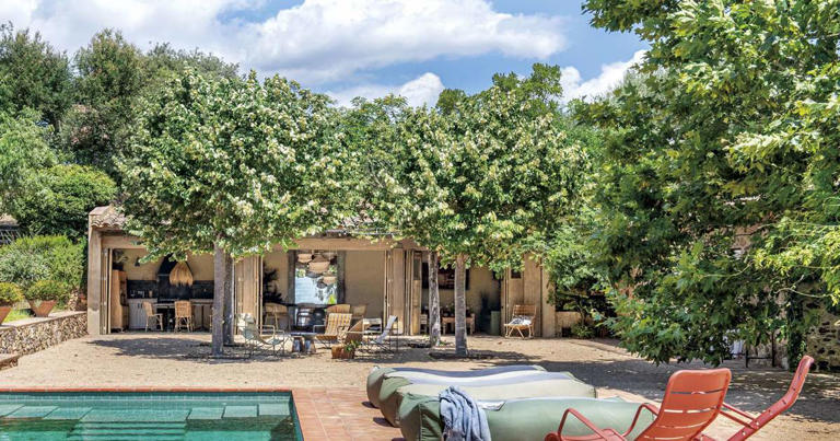 Las mejores plantas para hacer sombra en el jardín: árboles, arbustos ...